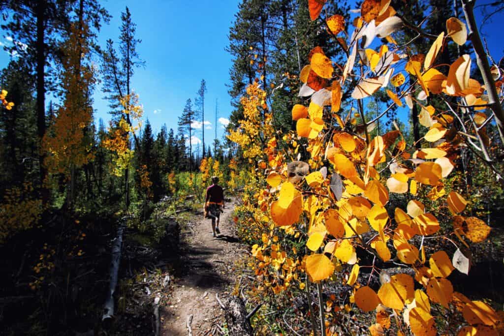 Grand County Colorado Fall Activities - Visit Grand County