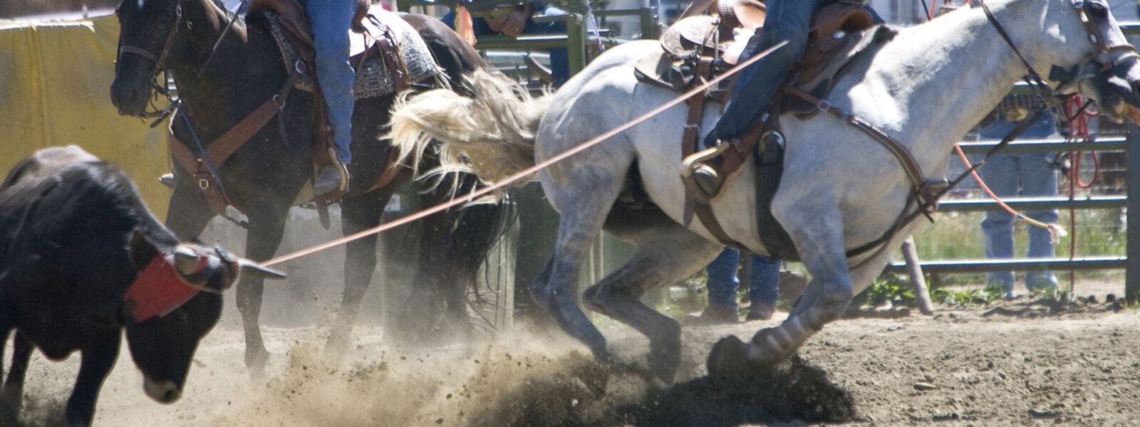 Rodeos: Bull Riding, Barrel Racing, & More | Visit Grand County