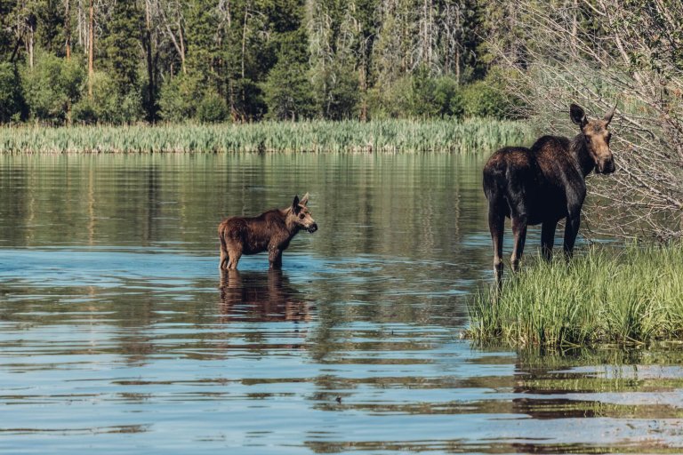 Trail Riders Motel | Visit Grand County